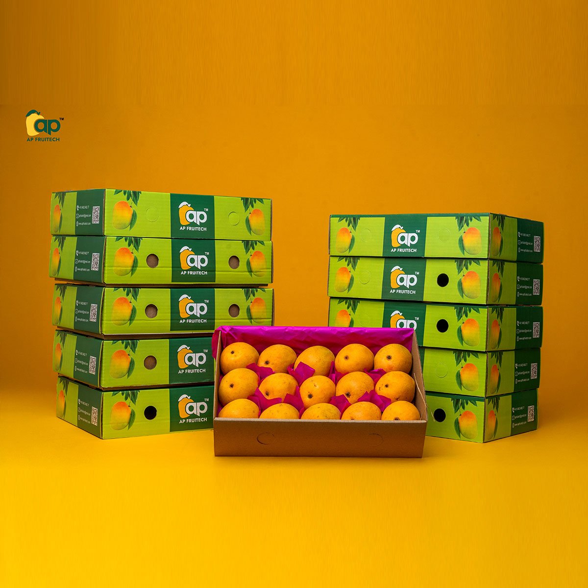 Premium Alphonso Mango (Box of 15 Mangoes) - AP Fruitech